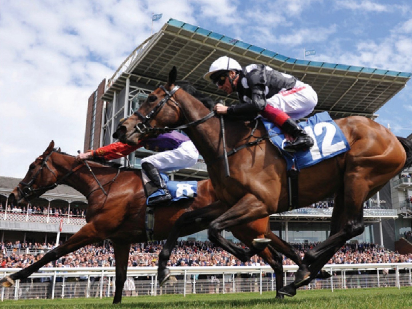 What To Expect From Macmillans Charity Raceday 2023 At York Racecourse